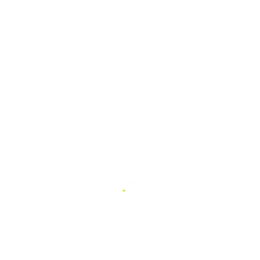 Shop DITC Studios – DITC SHOP